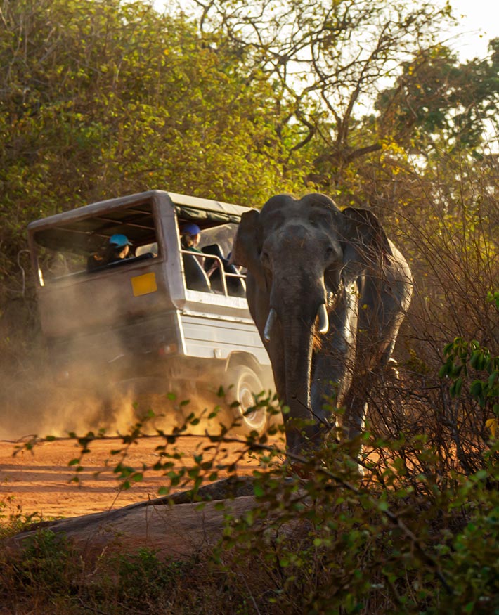 Family Bungalow in Matale Sri Lanka | Kuda Oya | Lalan Leisure